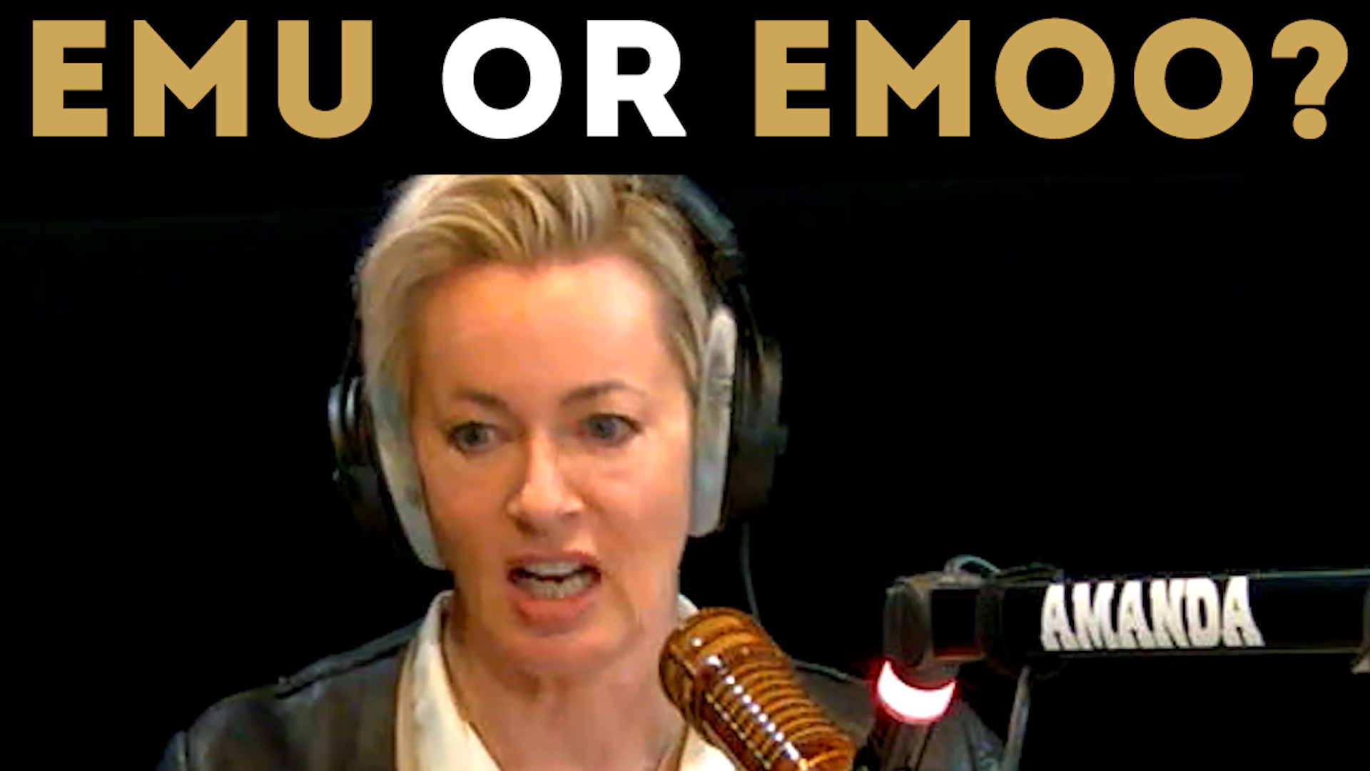 Emu Or Emoo?