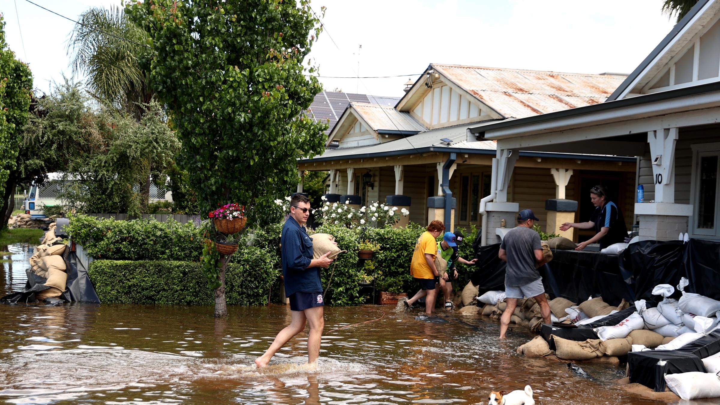 How You Can Help People Affected By NSW Floods
